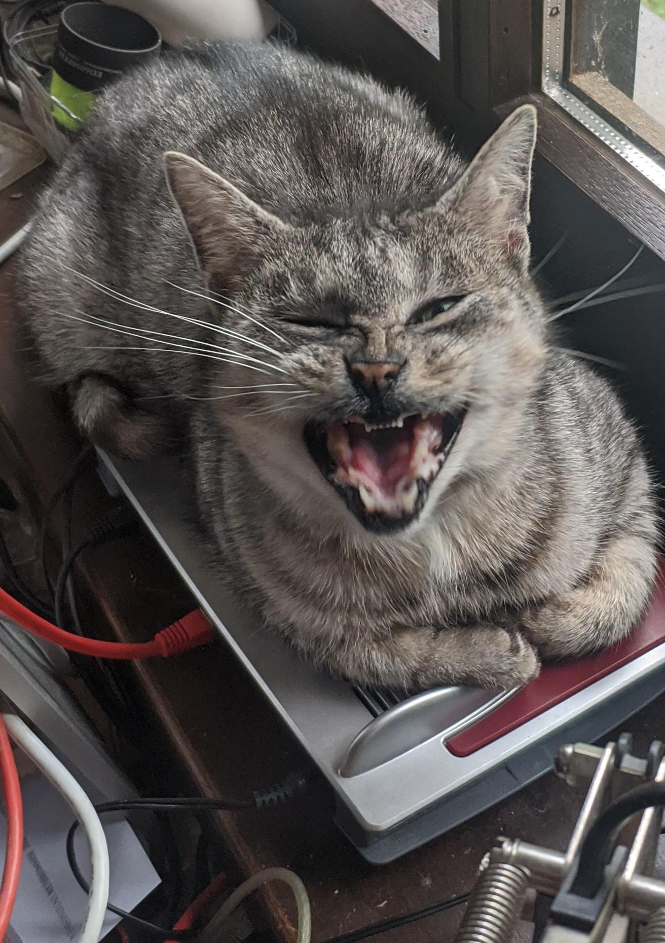 Cursed_WifiGuard | Scrolller