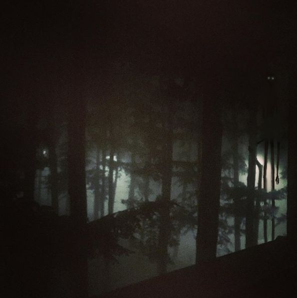 Cursed woods | Scrolller