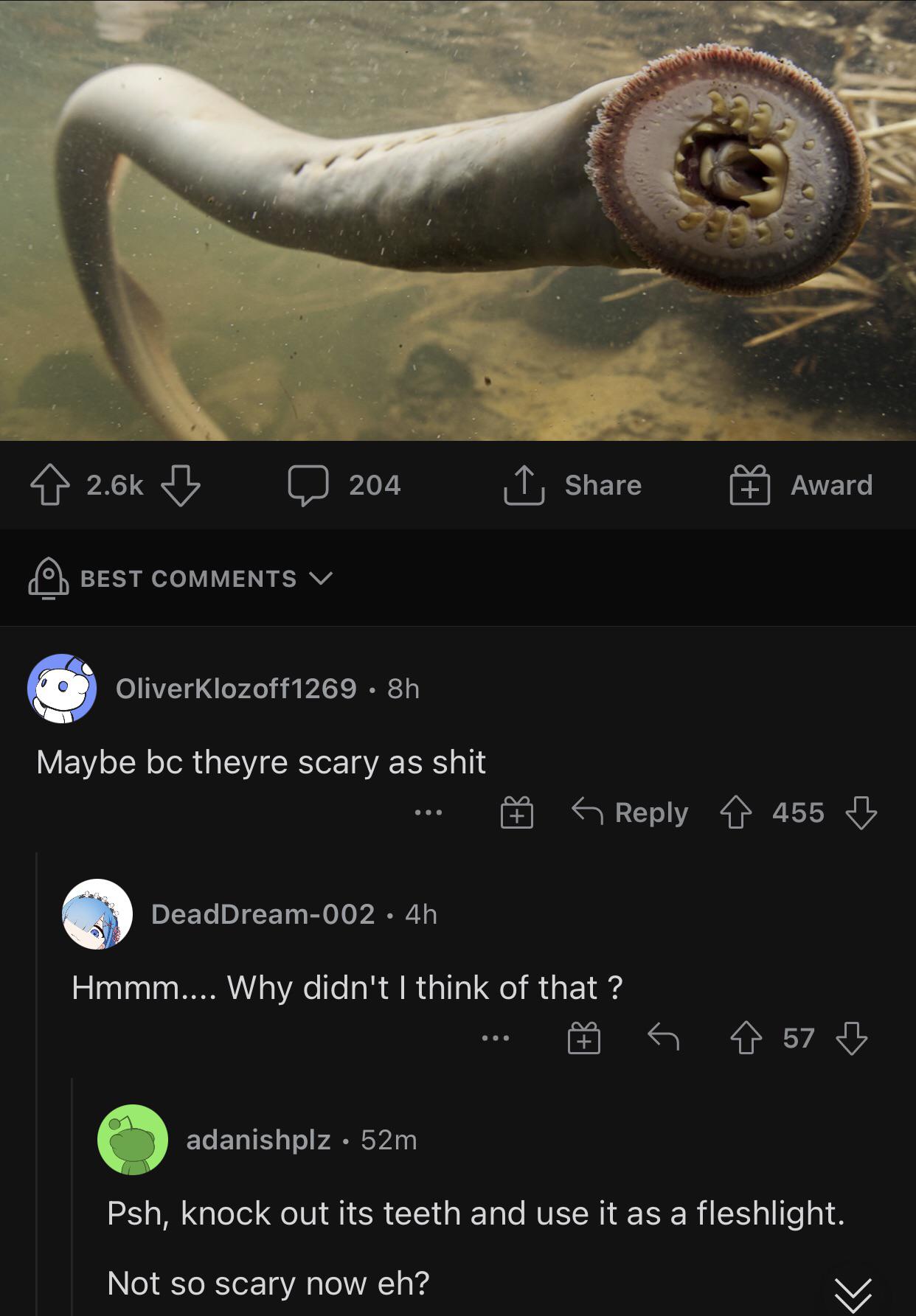 cursed worm fleshlight | Scrolller