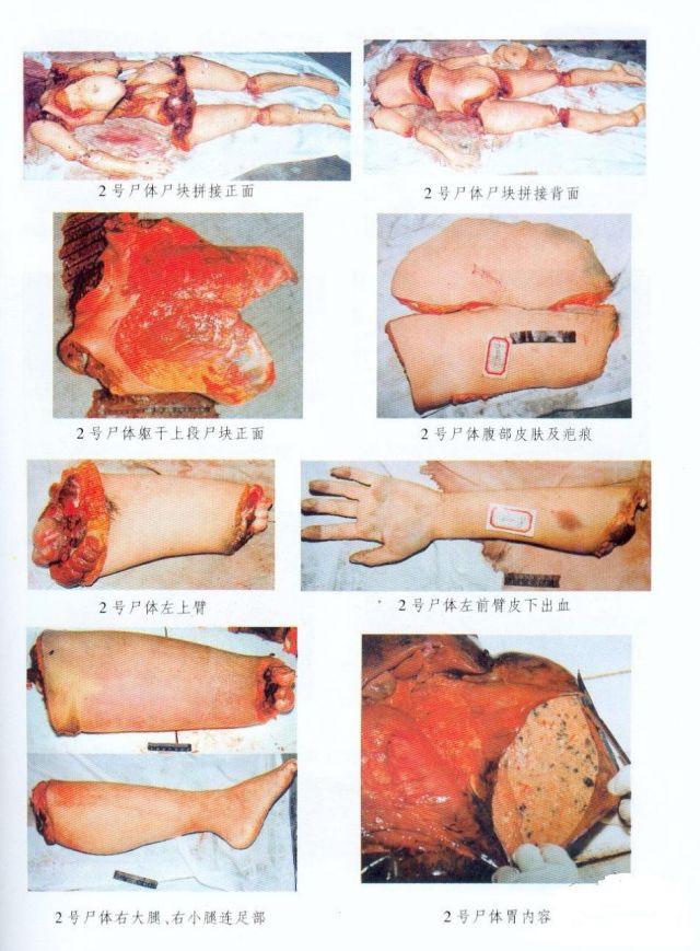 Cut Into Categories Scrolller