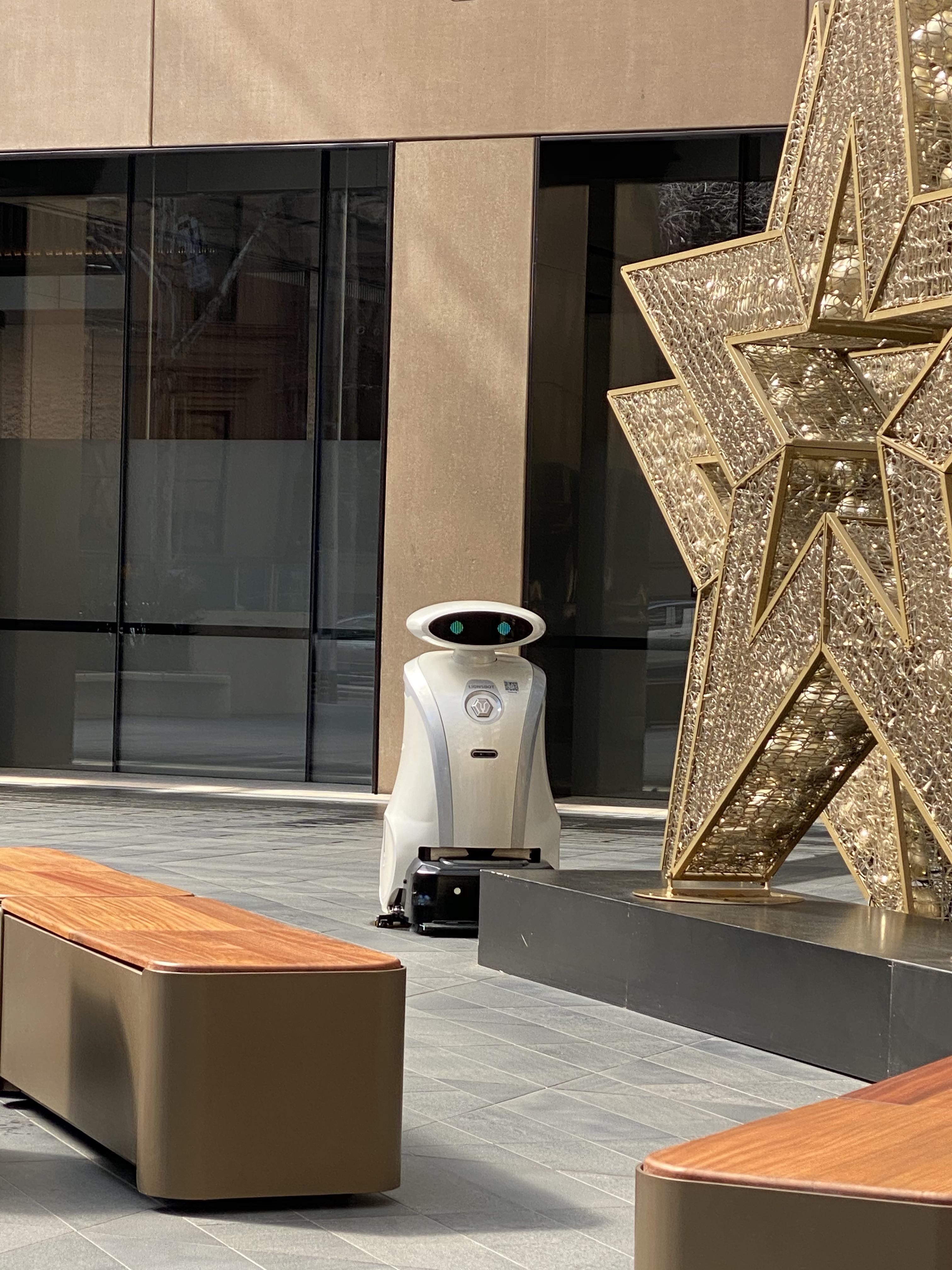 Cute lil guy spotted in a very quiet Collins place just now | Scrolller