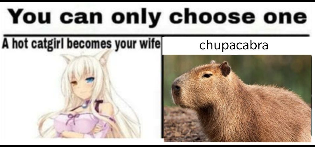 Cute mythical animal | Scrolller