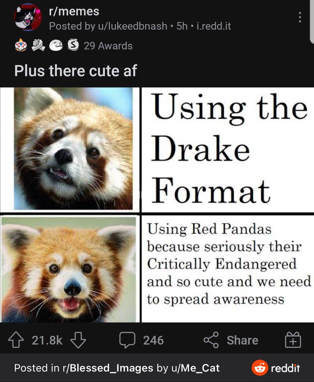 Cute panda for jeannie | Scrolller