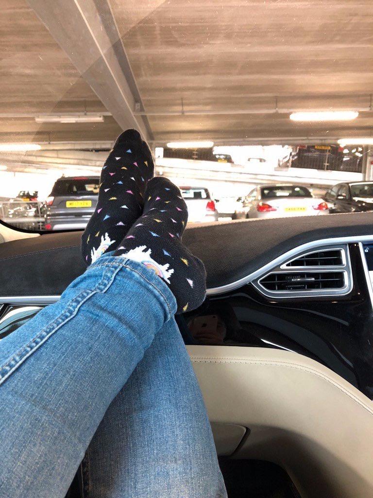 Cute socks on the dashboard | Scrolller
