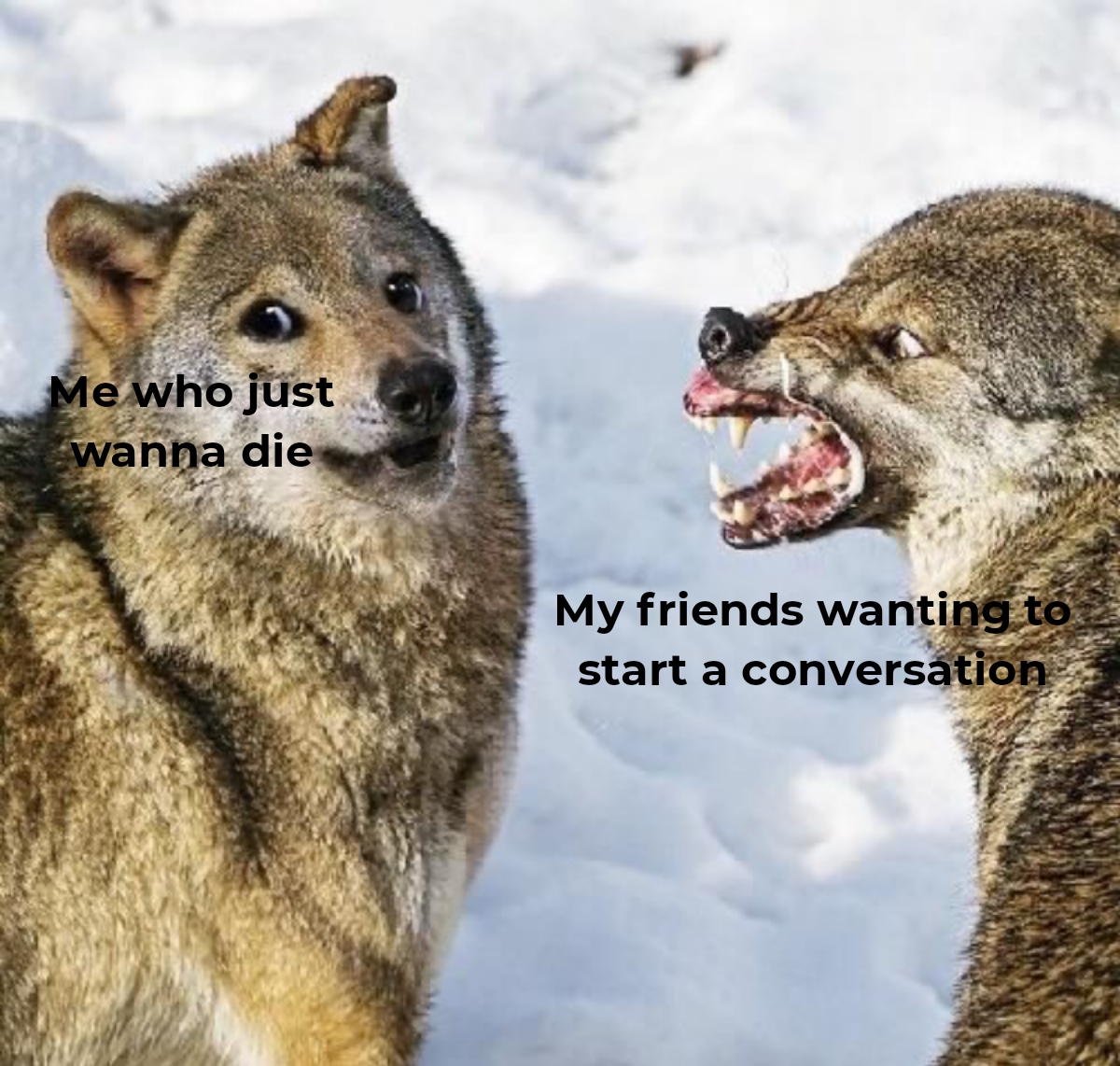 Daily depression meme day 35: | Scrolller