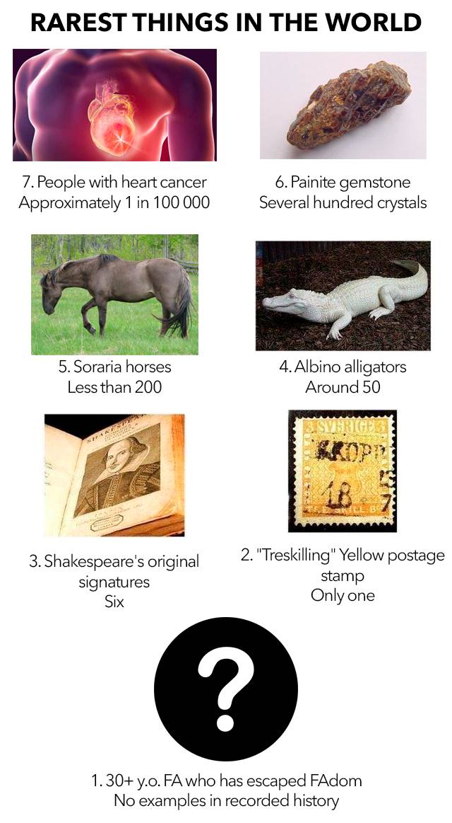 Daily FA Meme №21 | Scrolller