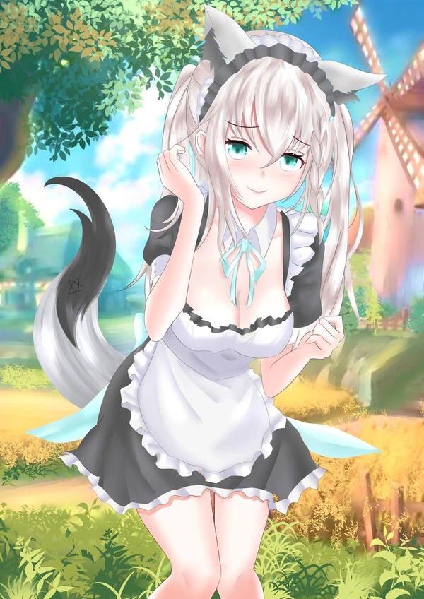 Daily Fubuki #59 | Scrolller