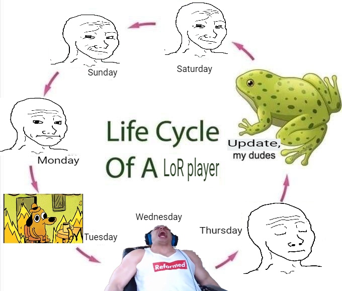 Daily meme dose in painful waiting for update. | Scrolller