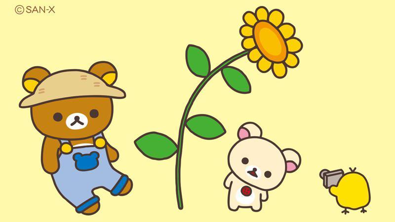 Daily Rilakkuma Photo #381 | Scrolller