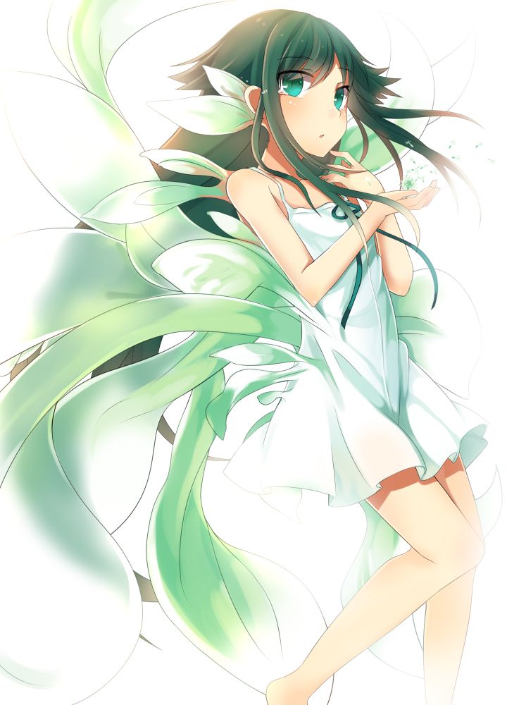 Daily Saya 114 - Flowering of Saya | Scrolller