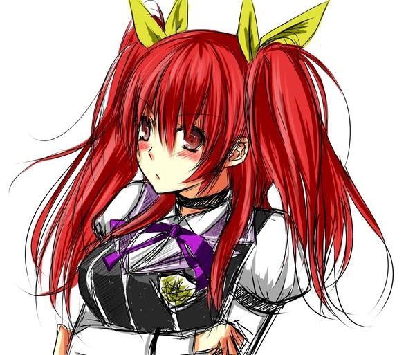 Daily Stella #79 | Scrolller