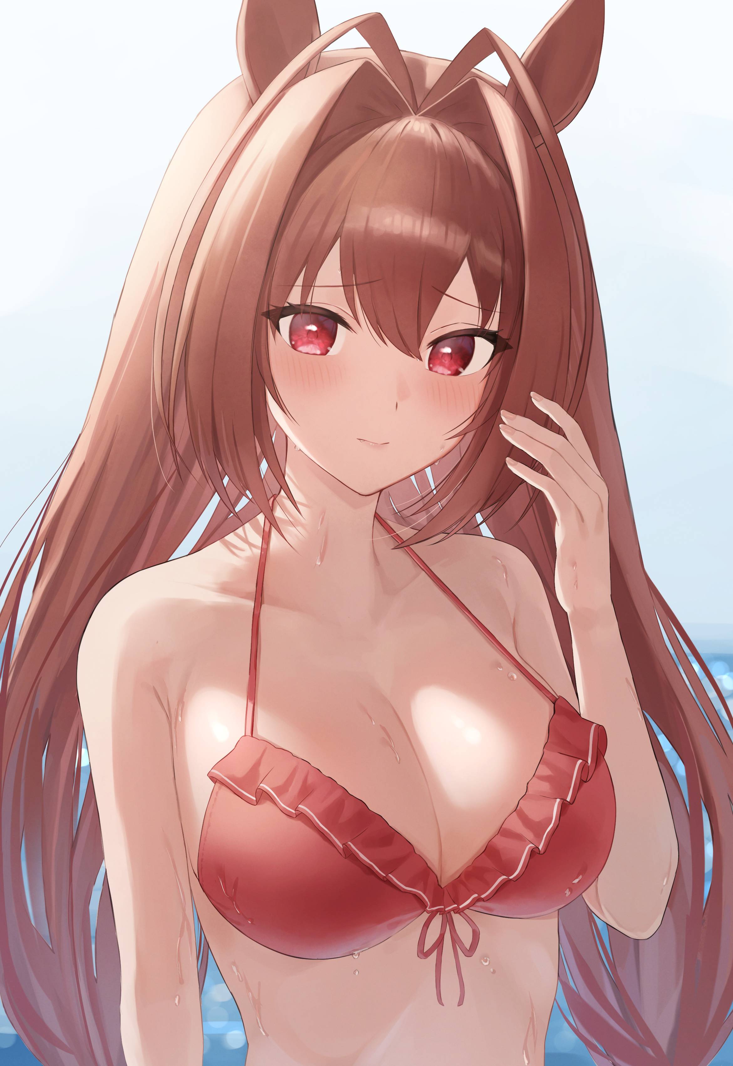 Daiwa Scarlet | Scrolller