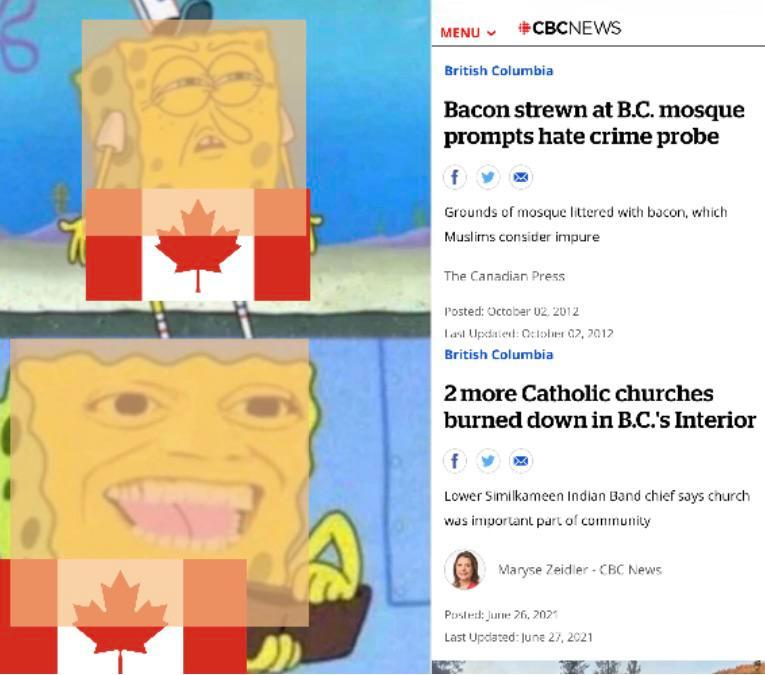 Damn, Canadian lib-lefts really suck | Scrolller