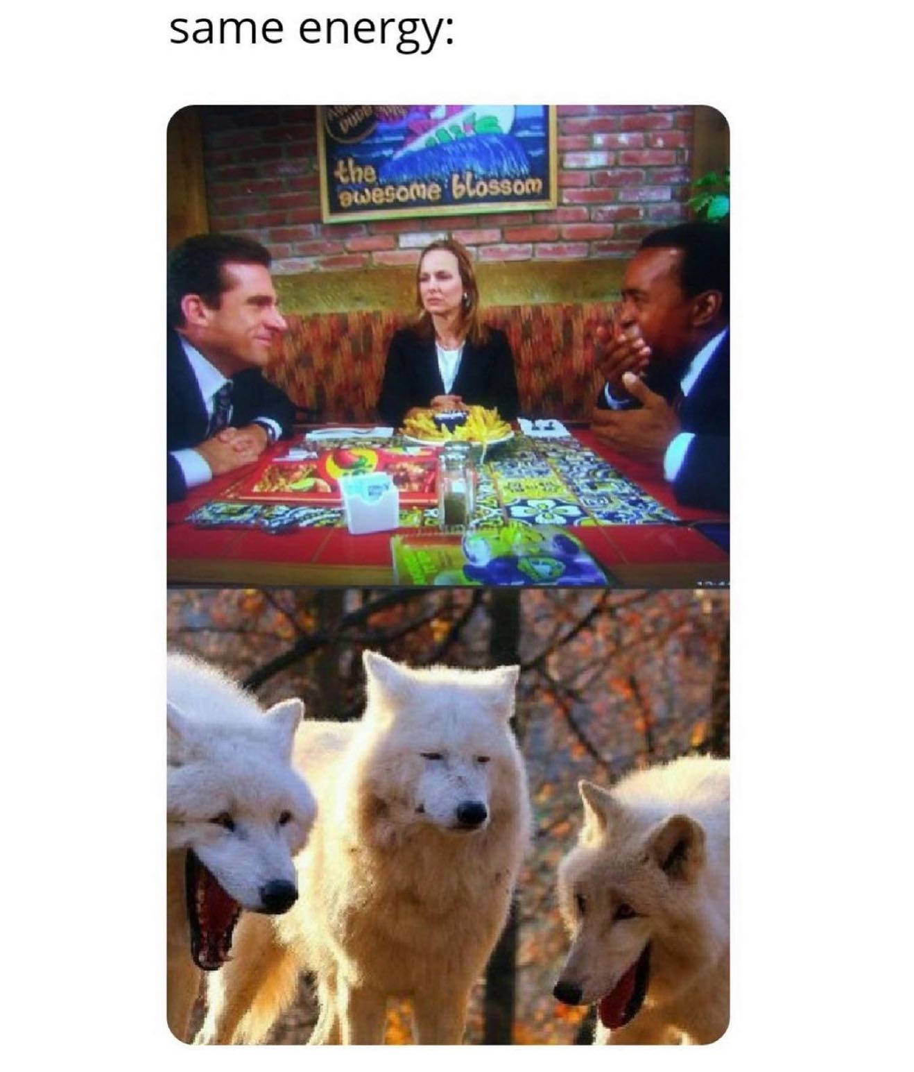 Damn haha | Scrolller