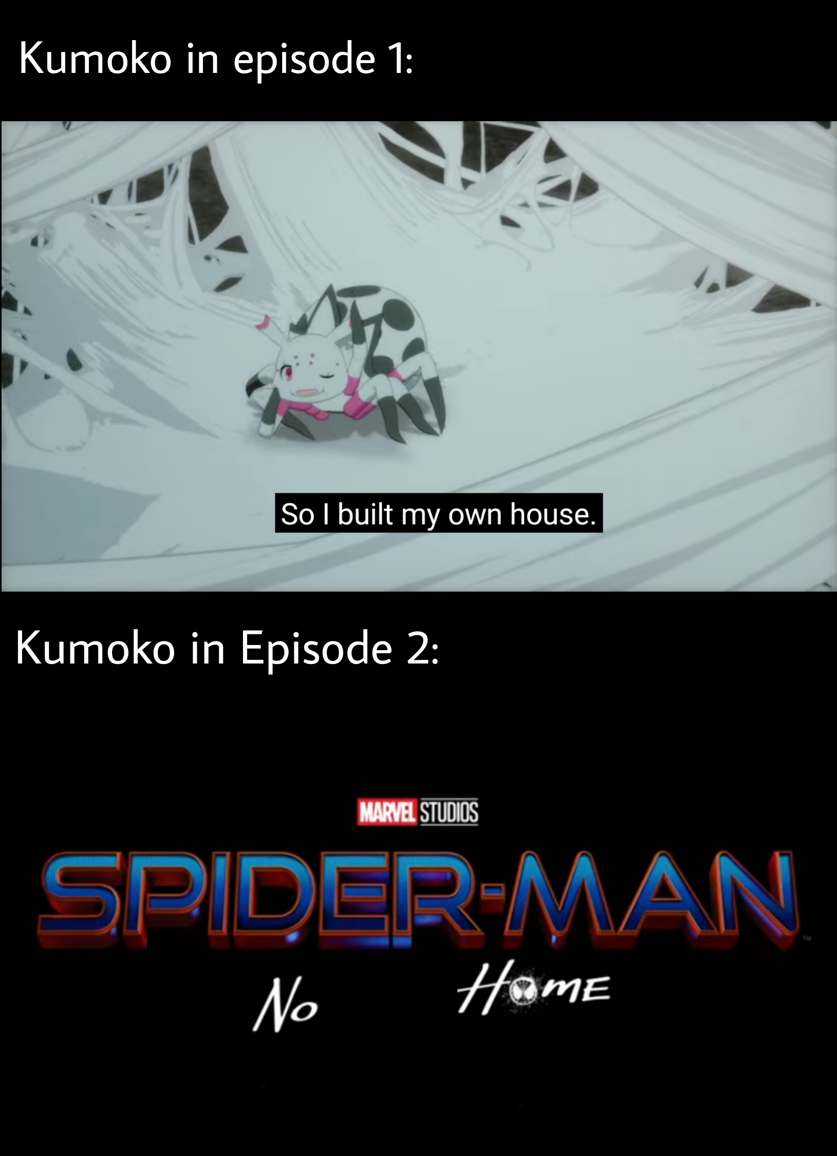 Damn those humans | Scrolller