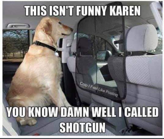 Damnit Karen | Scrolller