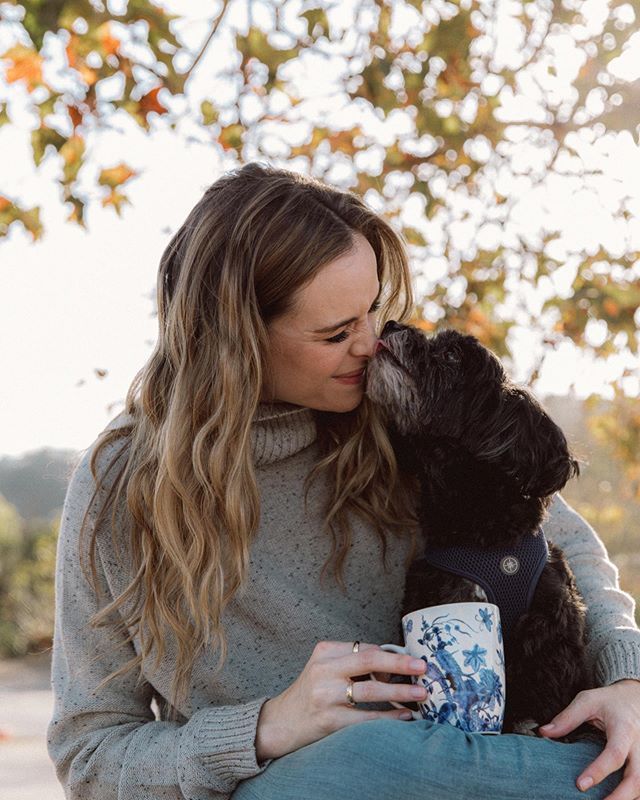 Danielle Panabaker | Scrolller