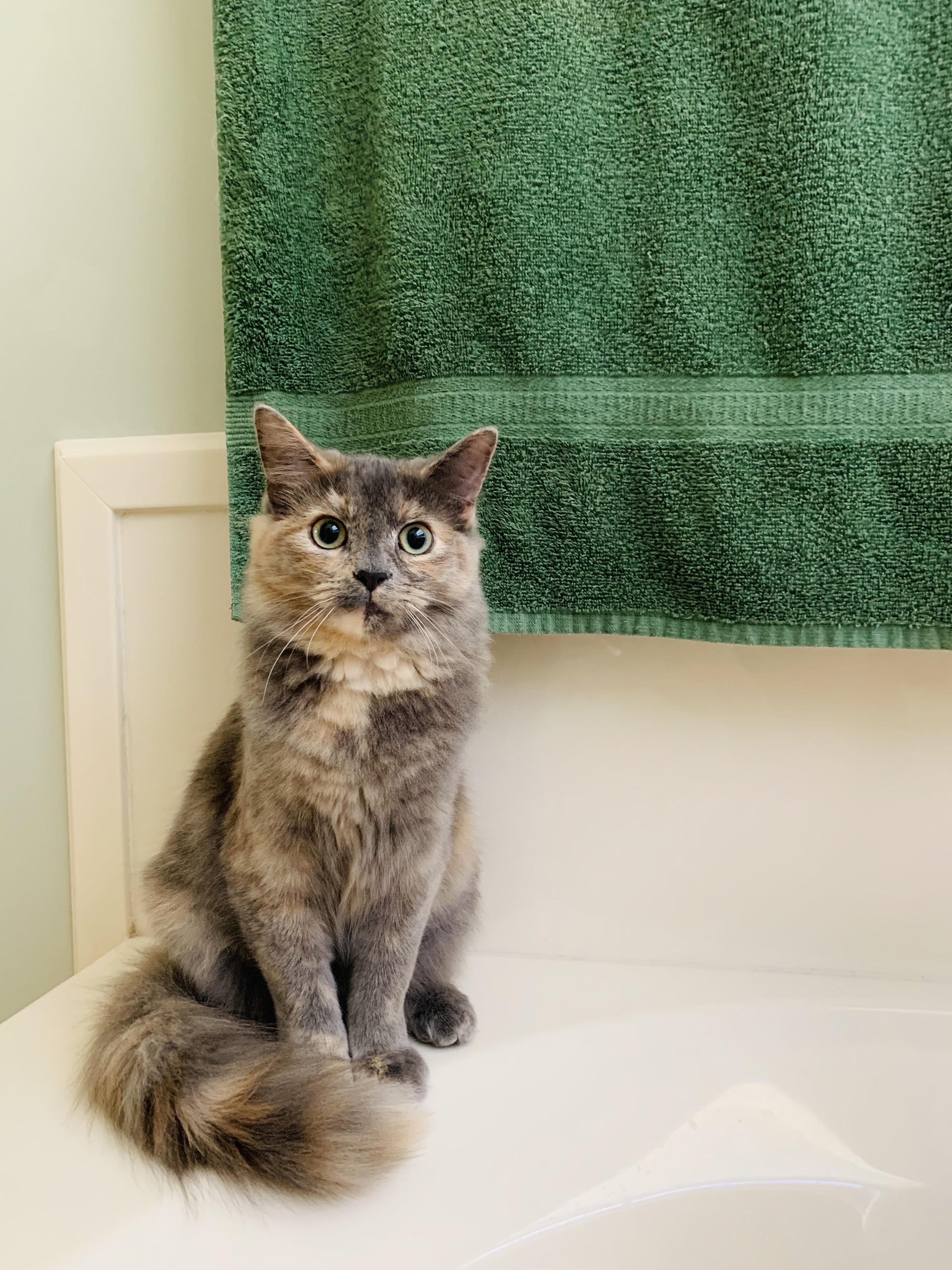 Dany posing on the tub | Scrolller