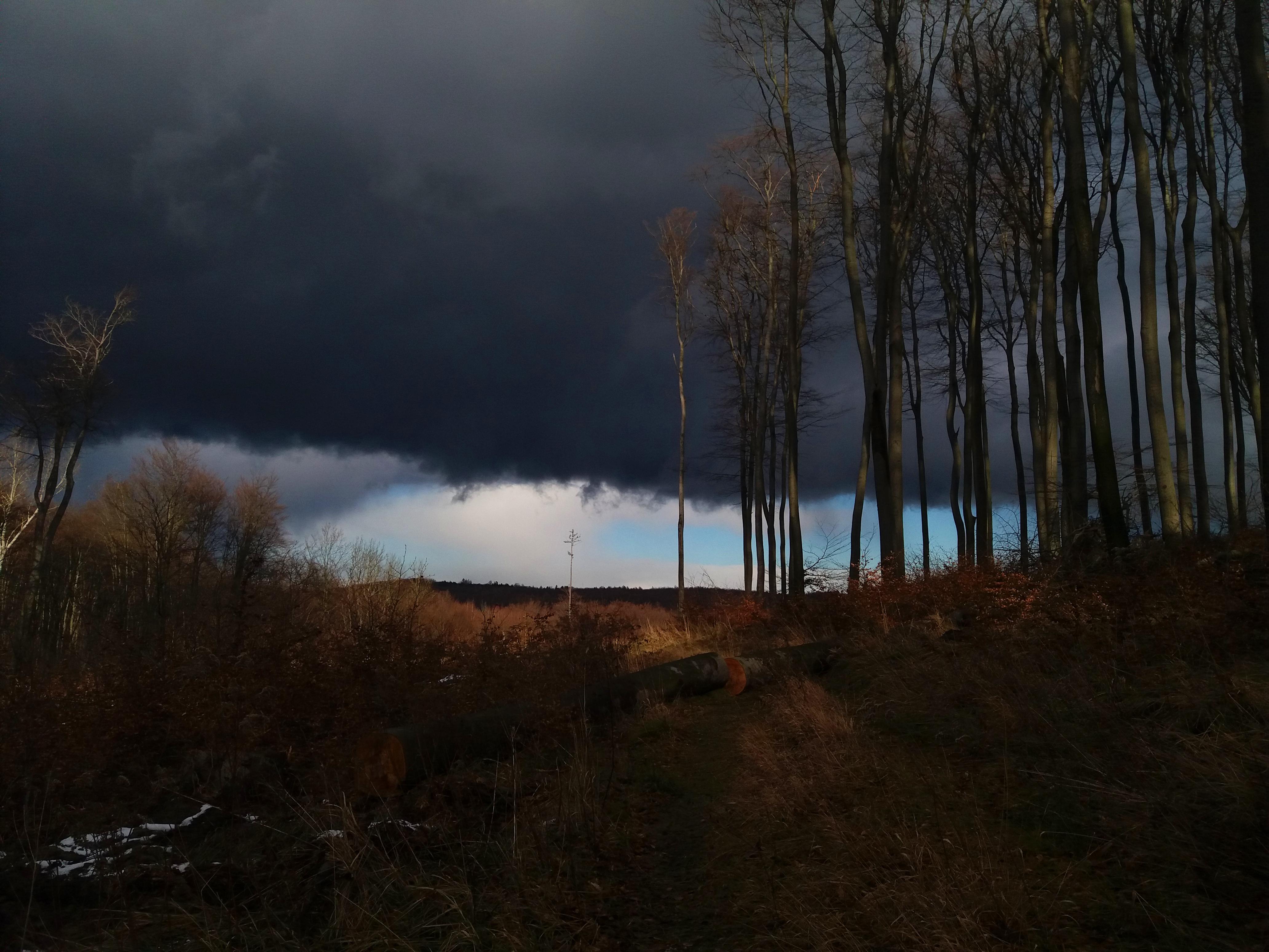 Dark Clouds and Blue Sky at the Sonnberg, Austria [OC][4128x3096] | Scrolller