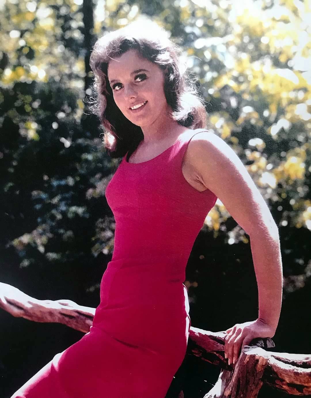 Dawn Wells | Scrolller