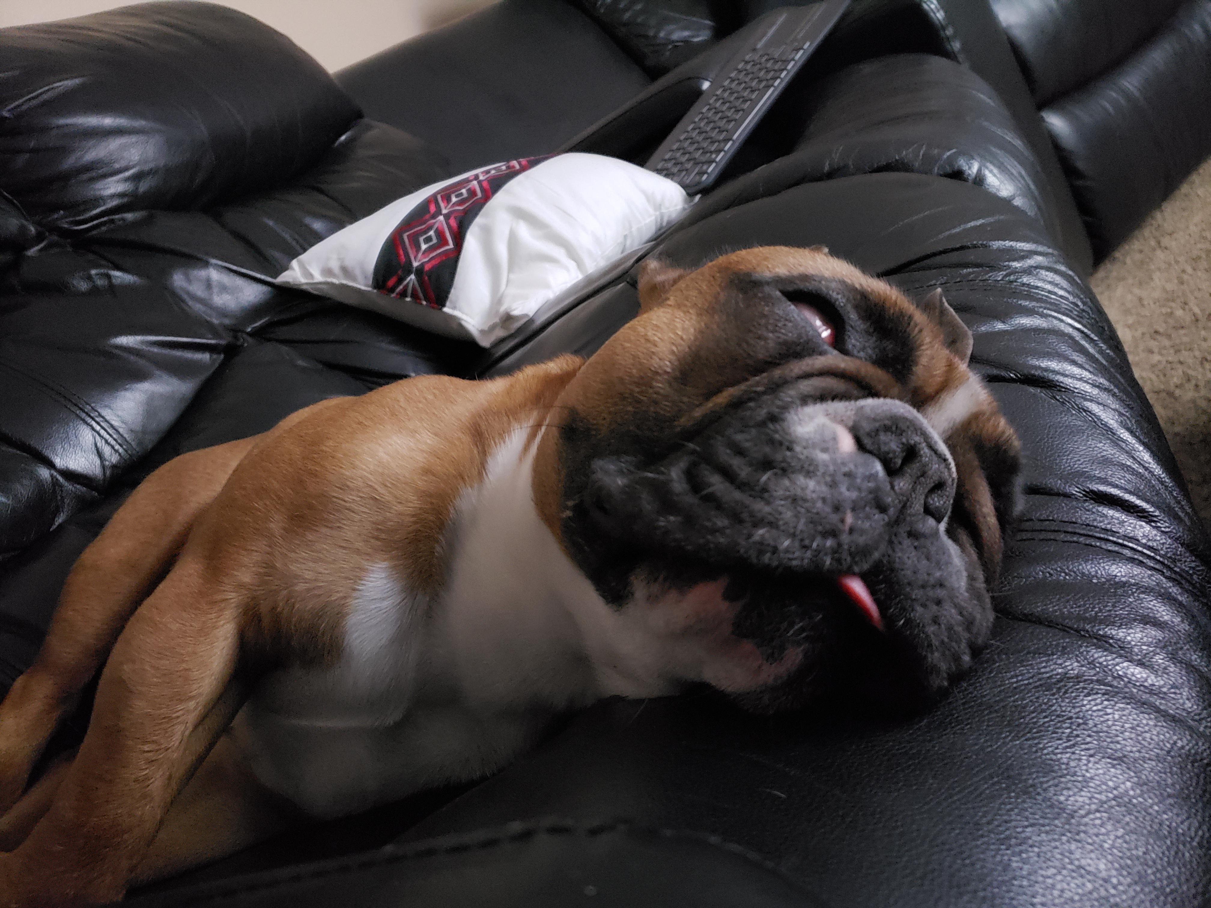 Dead sleep | Scrolller