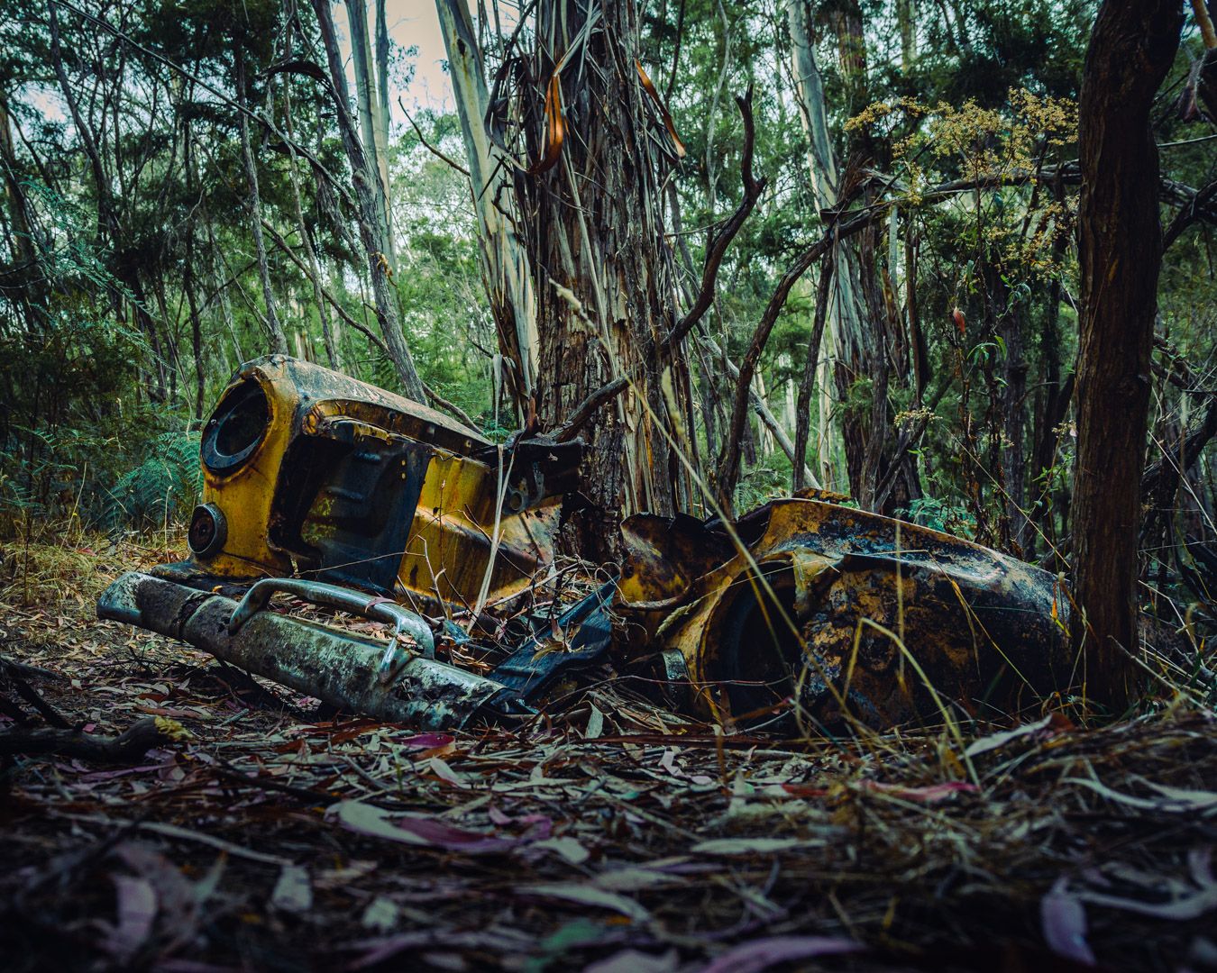 Decaying car, Me, Photography, 2021 | Scrolller