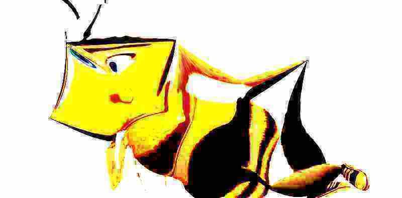 Deep fried bee | Scrolller