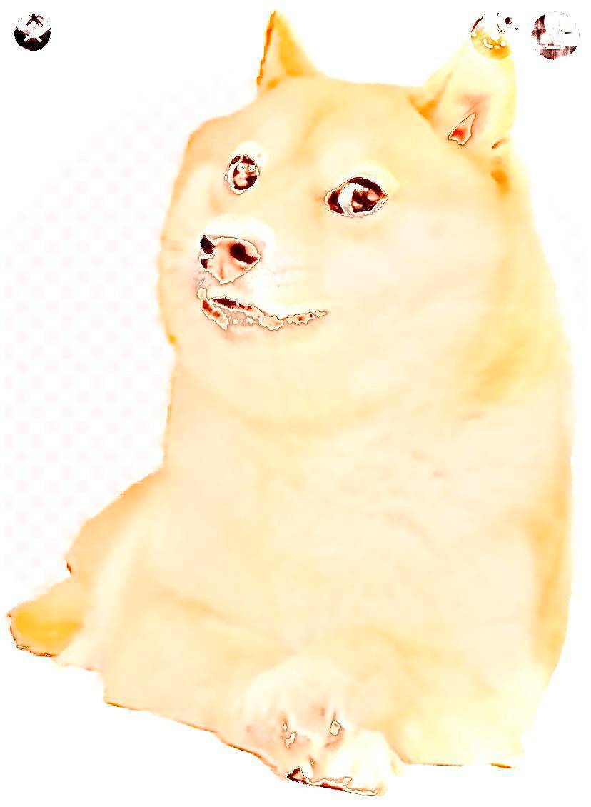 Deep fried doge | Scrolller