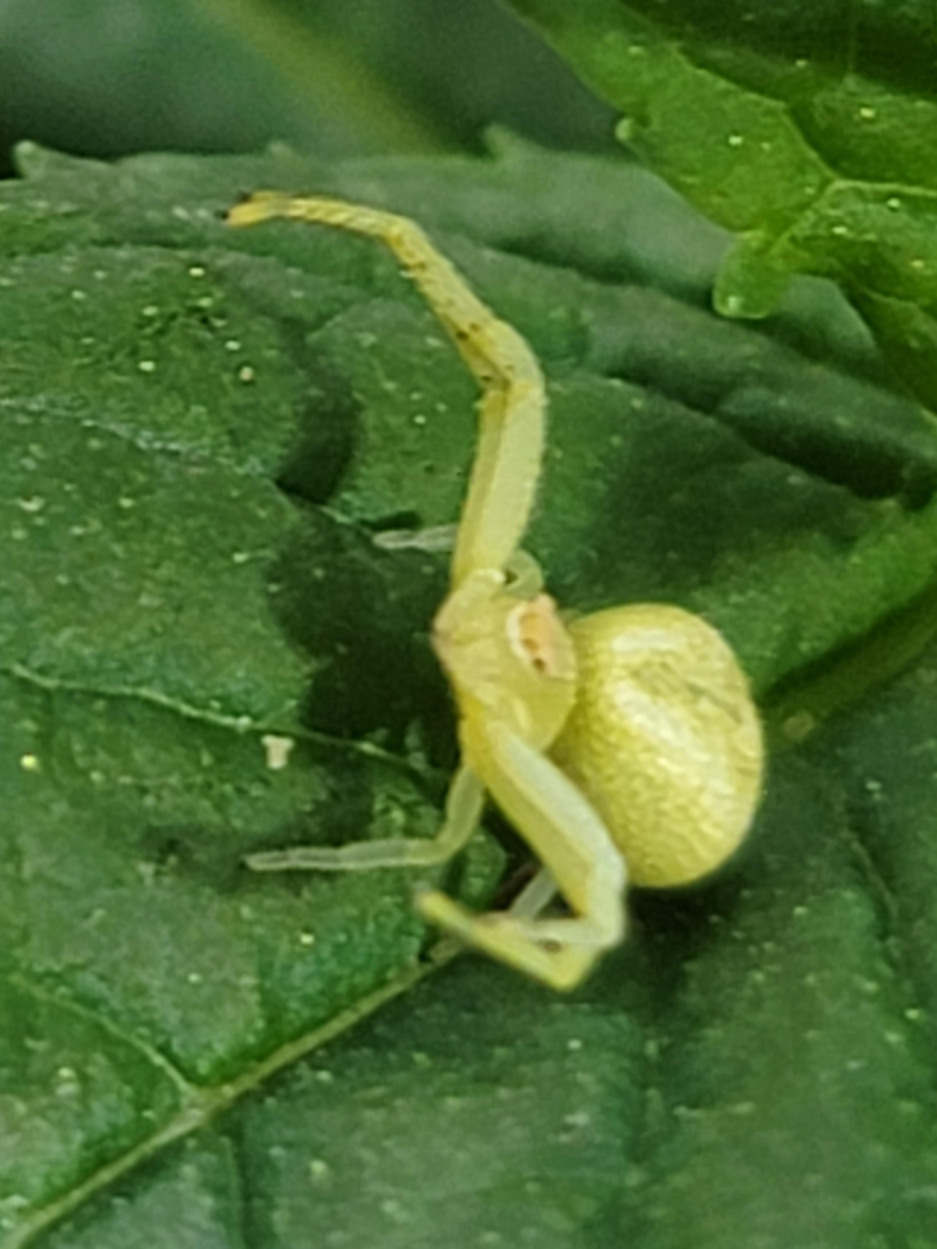 Defense mode activated | Scrolller