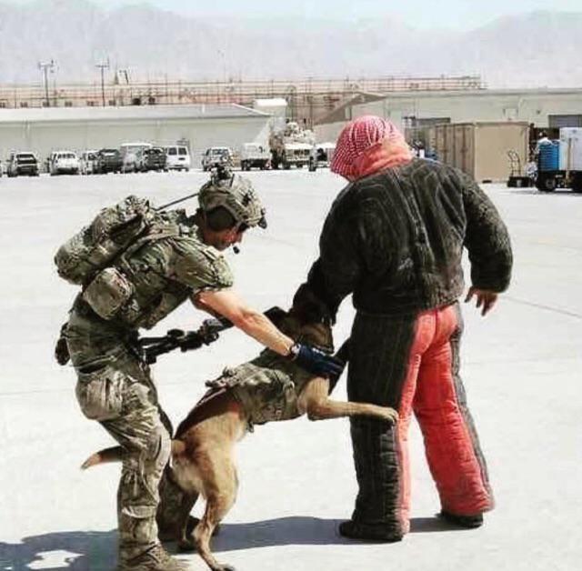 Delta force D squadron. | Scrolller