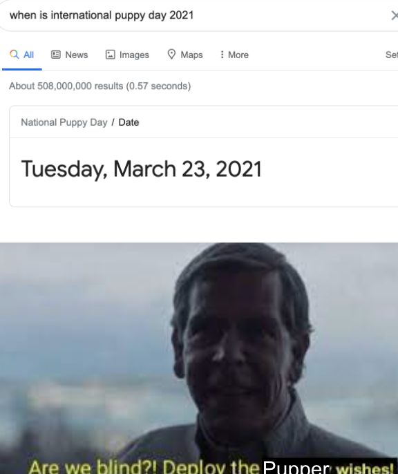 Deploy the puppy wishes! | Scrolller