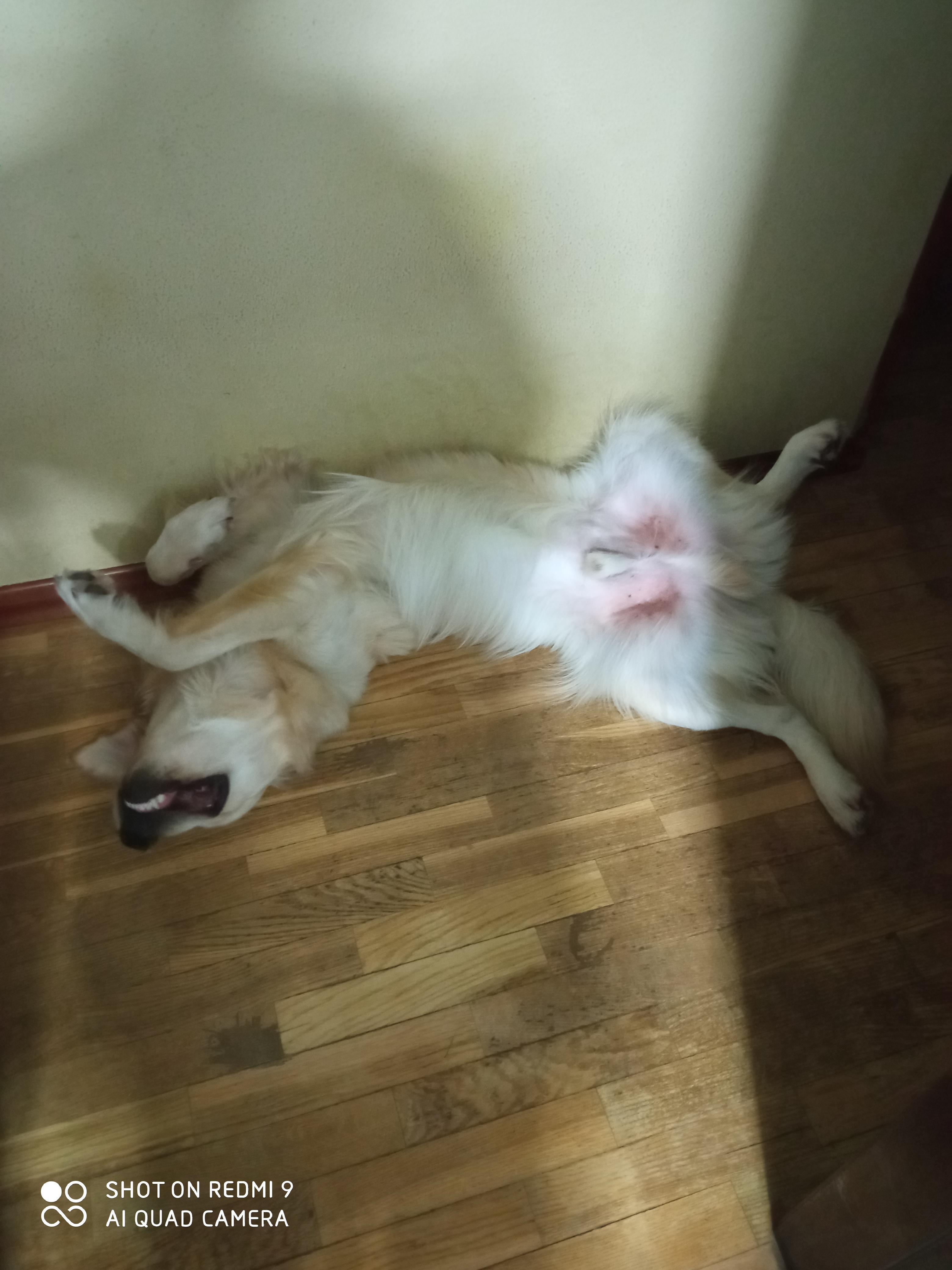 Derpy sleeping position 😂 | Scrolller