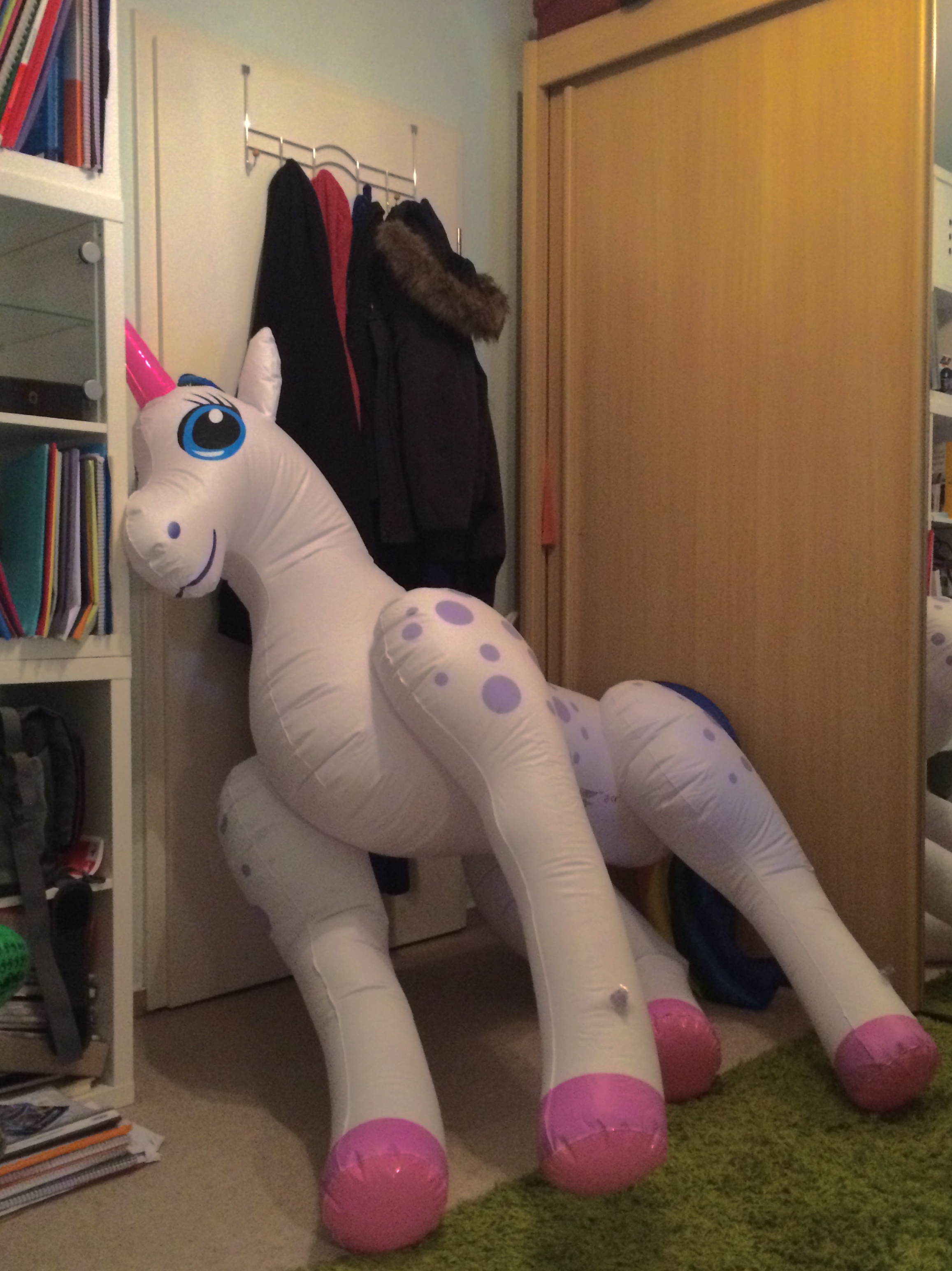 Derpy Unicorn | Scrolller