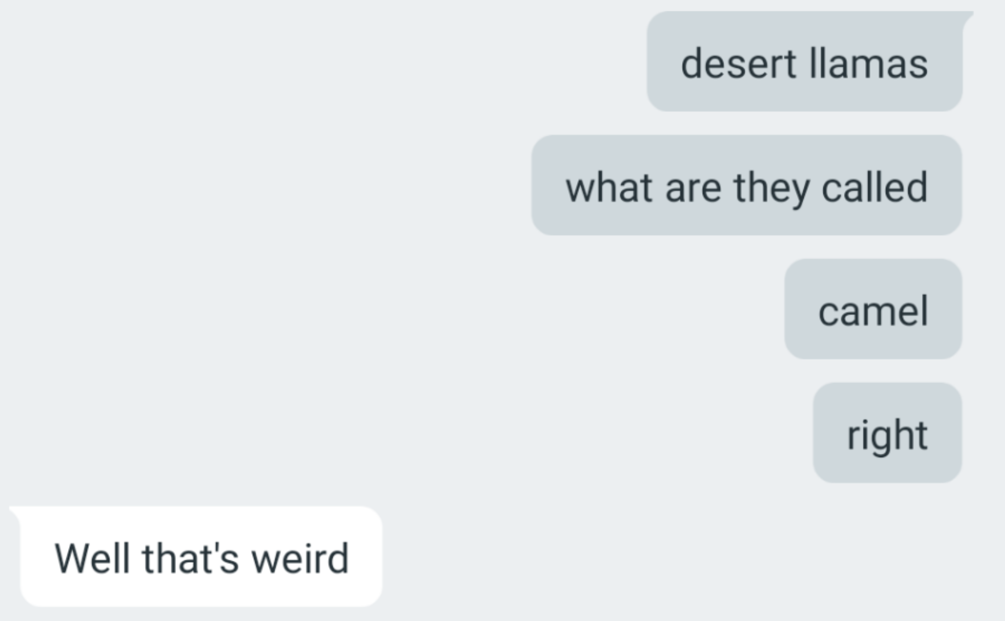 Desert Llamas | Scrolller