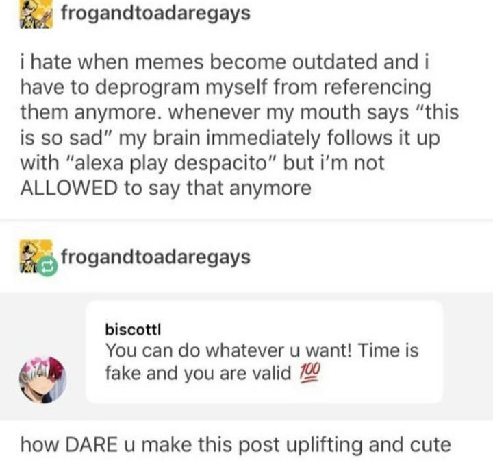 Desperate need of validation | Scrolller