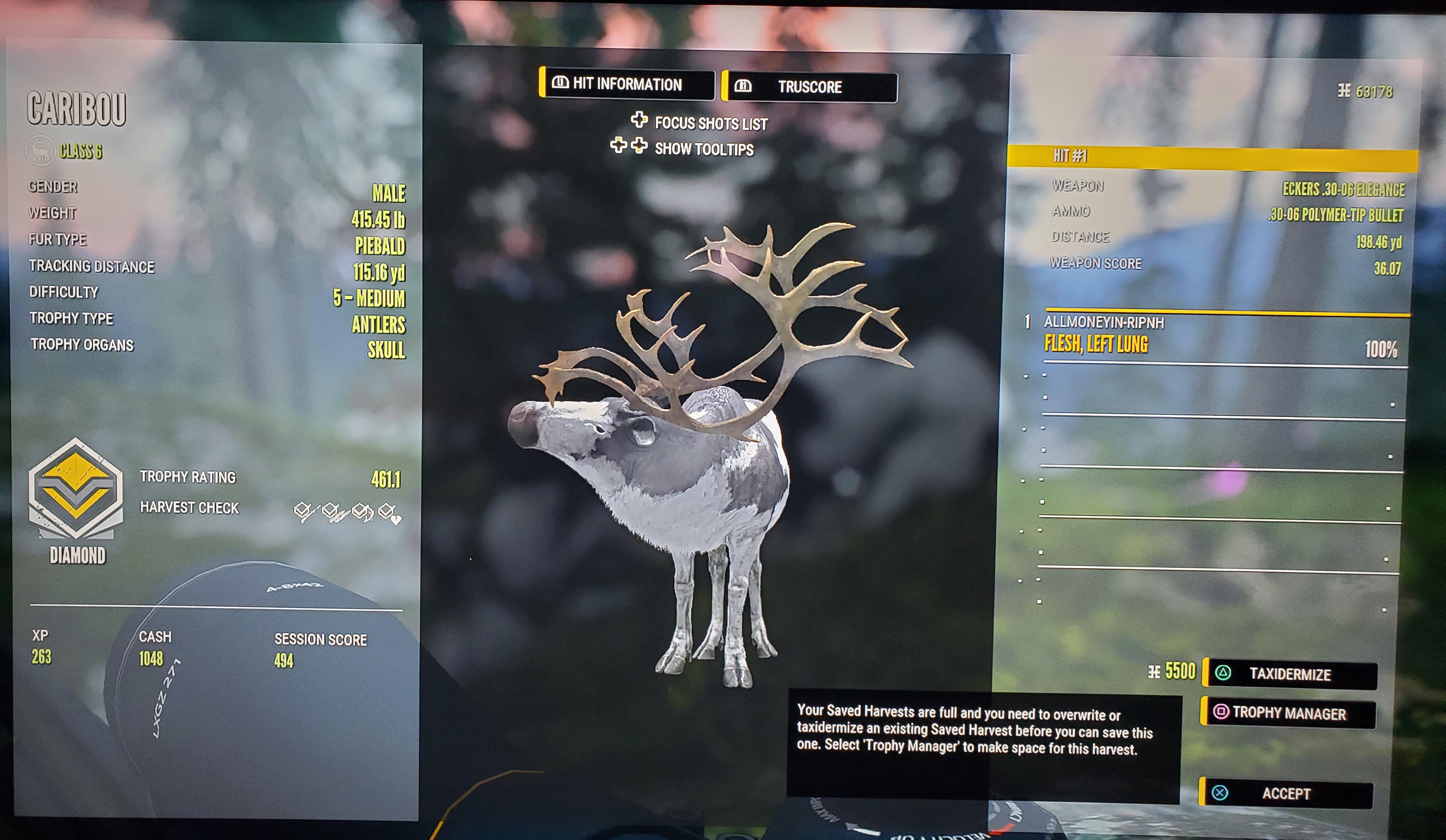 Diamond Level 5 Piebald Caribou!! 😍 | Scrolller