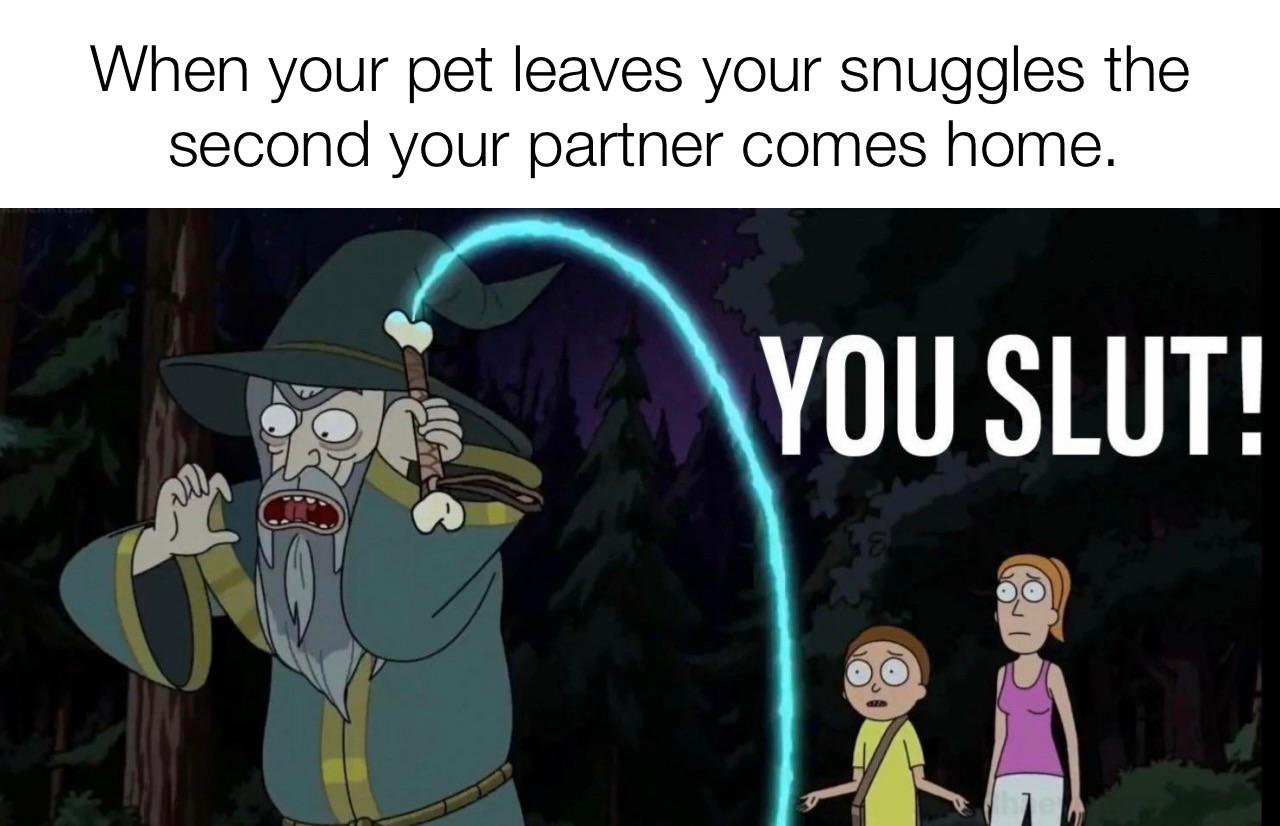 Did my love mean nothing? | Scrolller