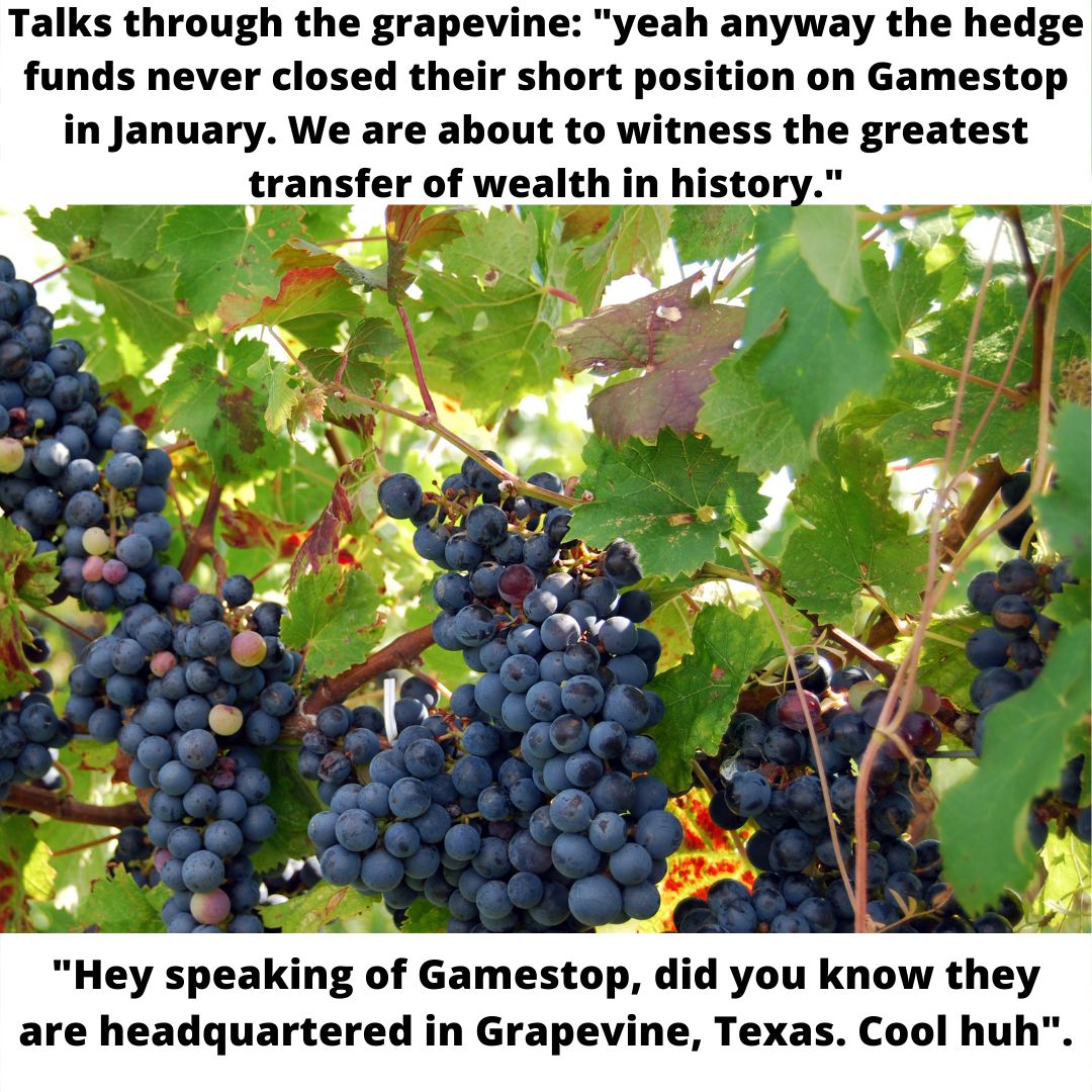 Did you just hear something through the grapevine? Not financial advice. | Scrolller