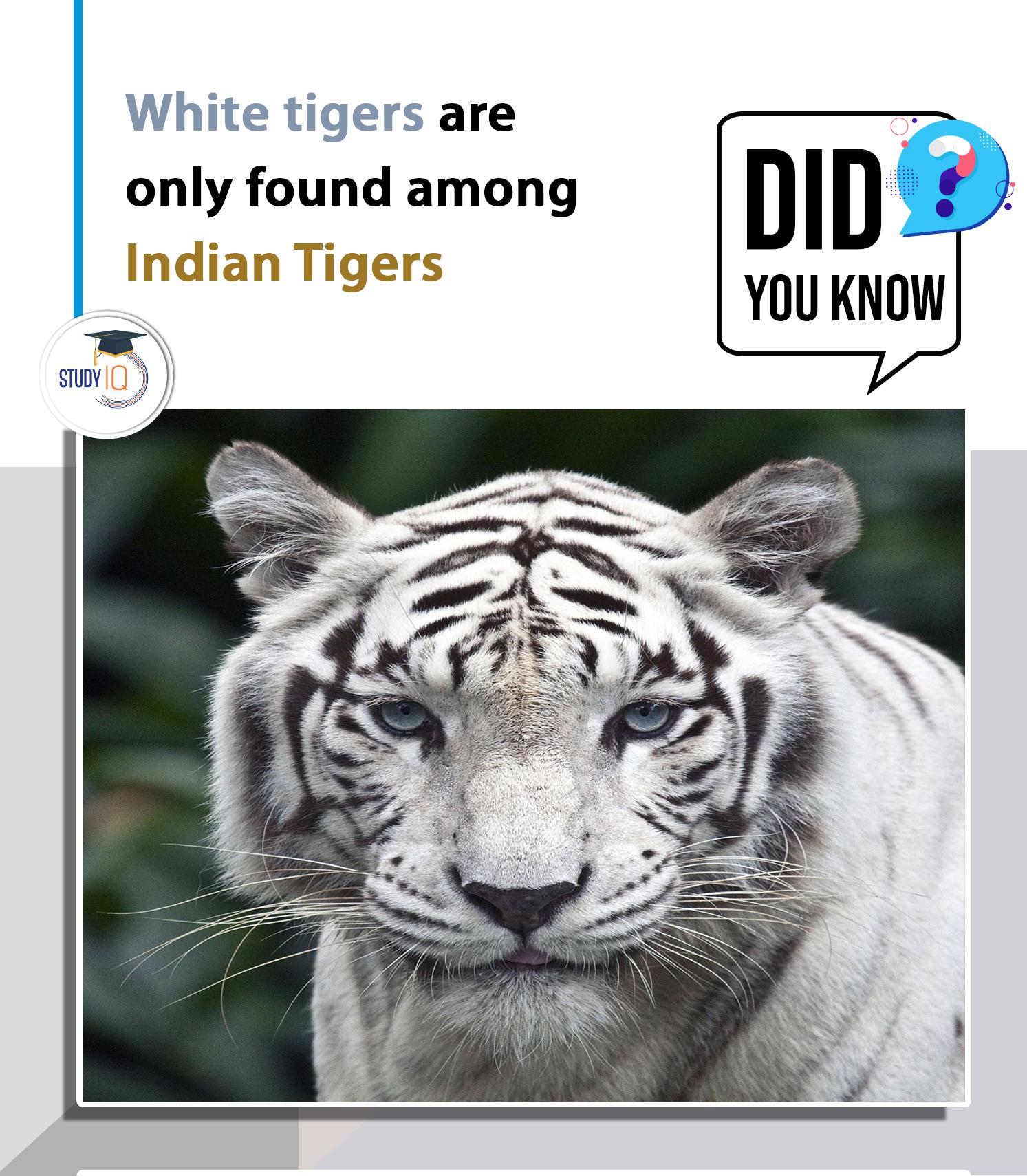 Did You Know | Scrolller