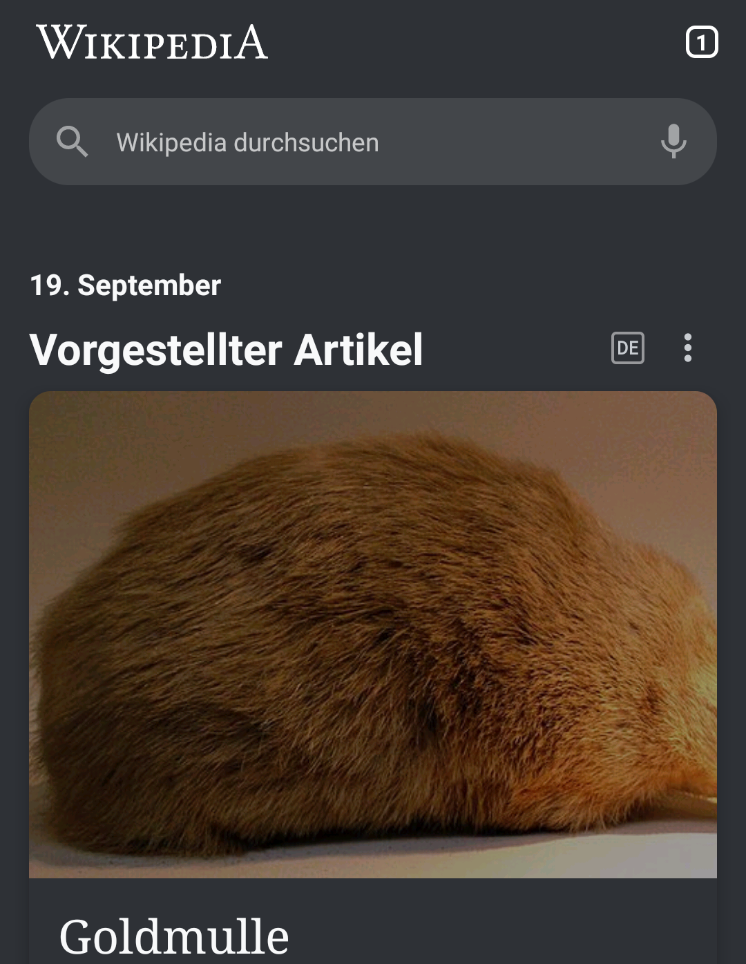 Die Eine! | Scrolller