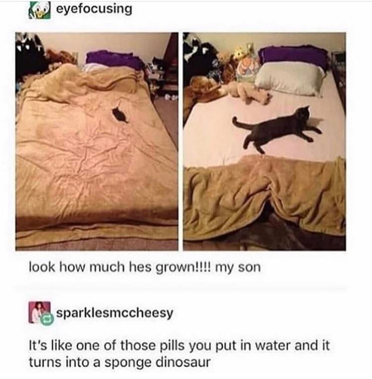 Difference Between Mother And Son Scrolller