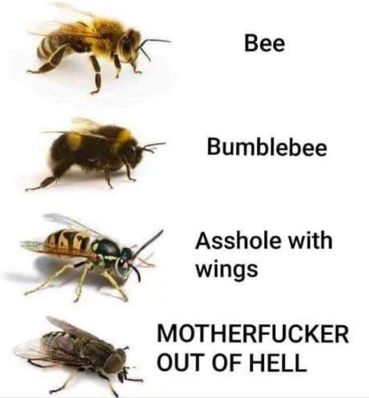 Differences | Scrolller