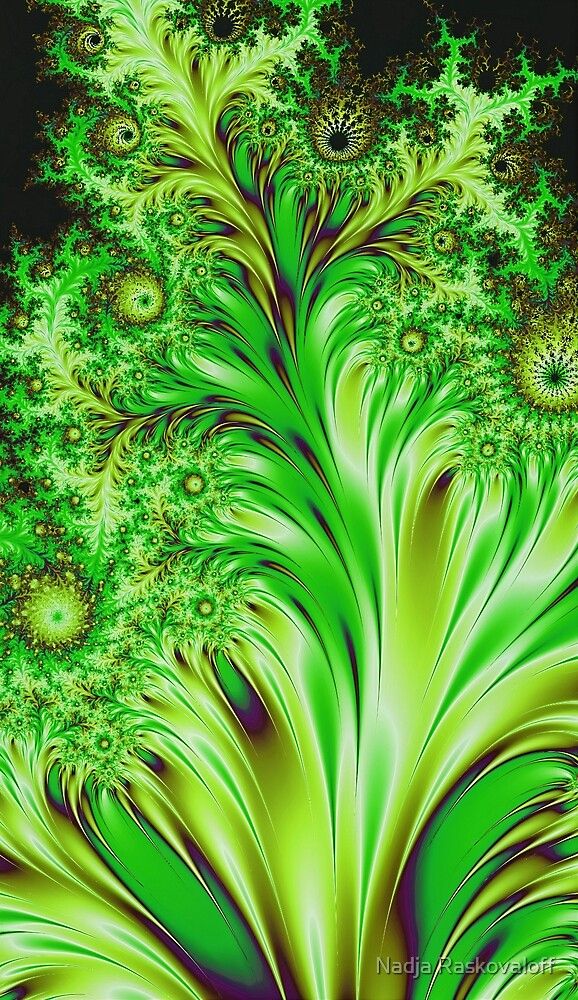 Digital Fern | Scrolller