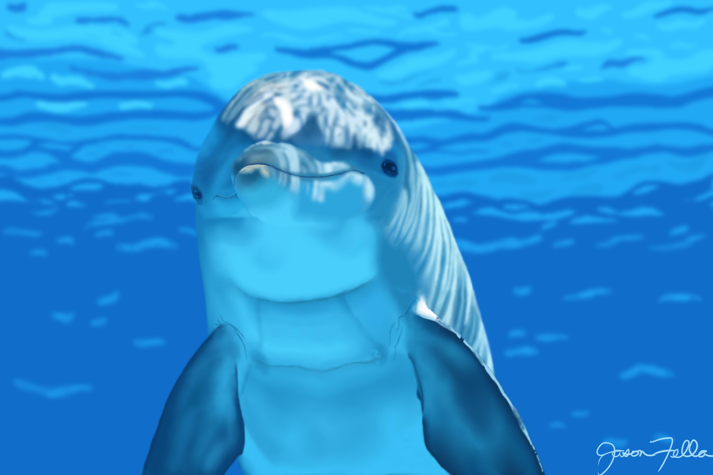 Digital painting of a dolphin | Scrolller