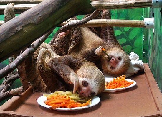 dinner parties with friends are the best! | Scrolller