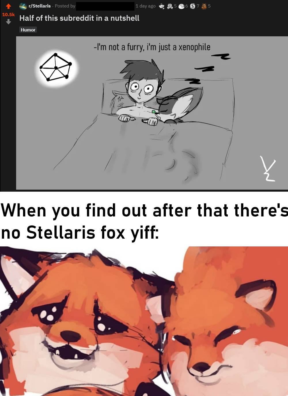 Disappointment_Irl | Scrolller