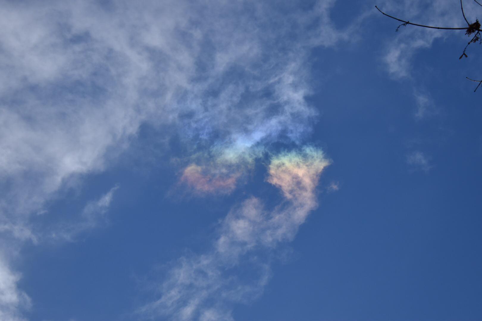 Discovered this cloud iridescence after it finished sleeting and the sun came out. | Scrolller