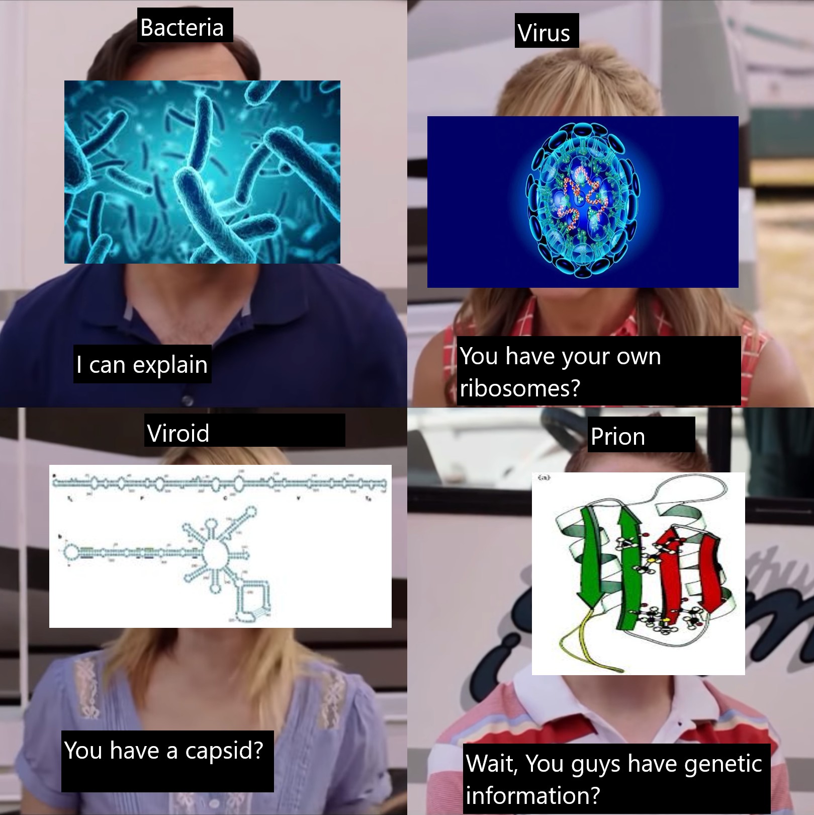 Disease Biology | Scrolller