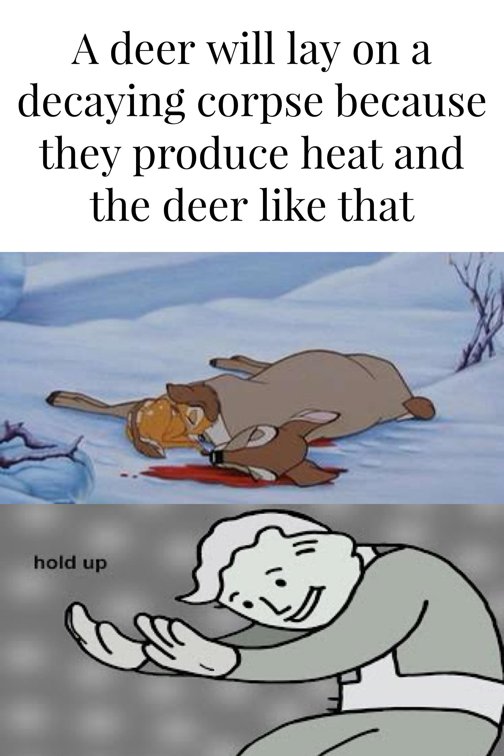 Disney accuracy on point | Scrolller