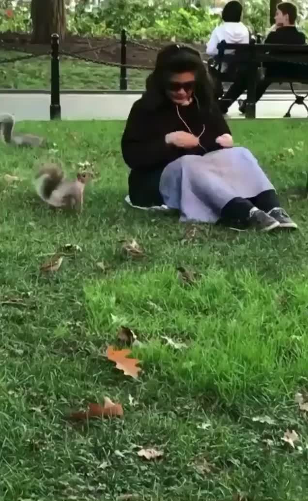 Disney Princess Level 1000 Scrolller 5712